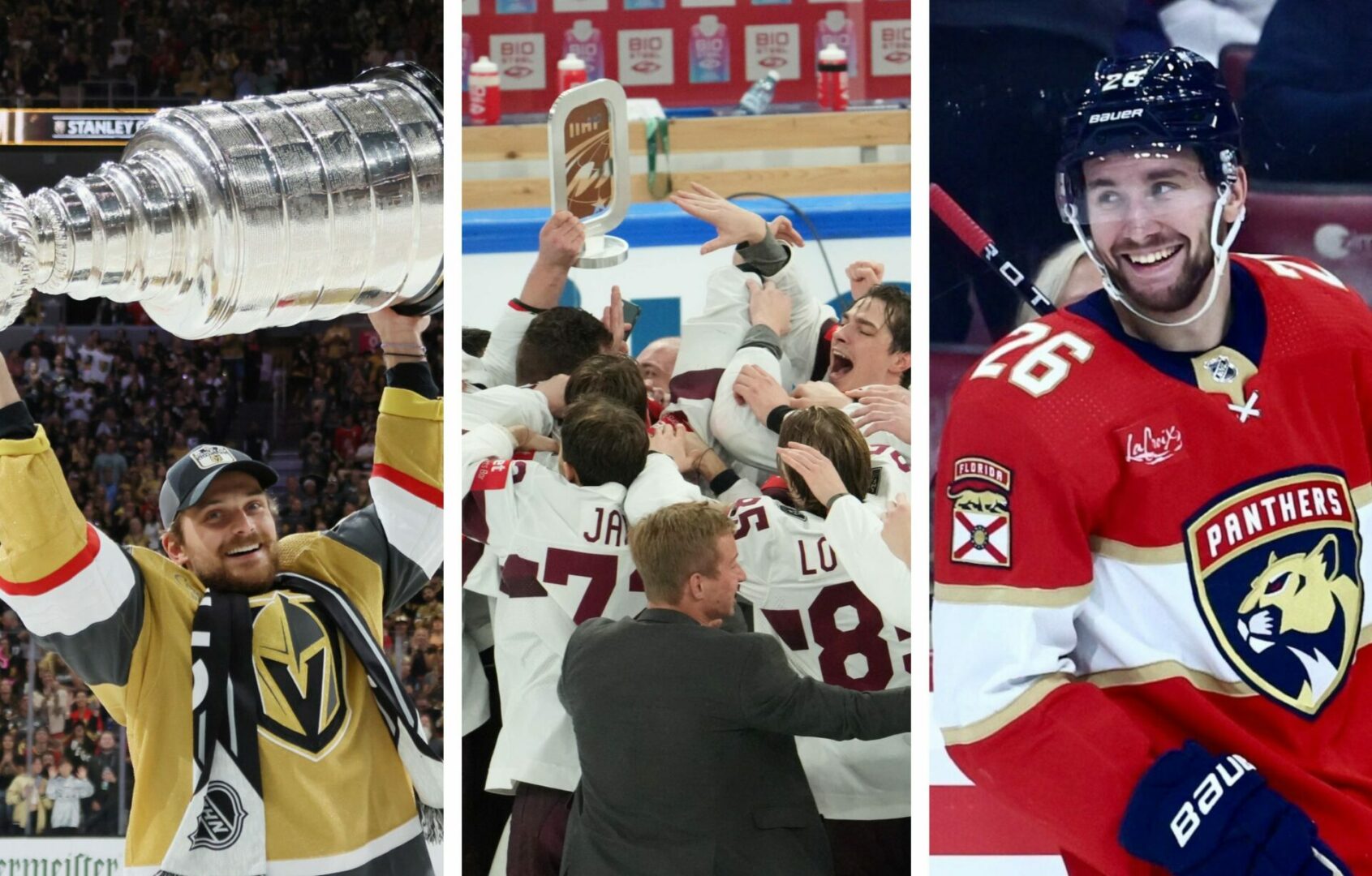 Bronza, Stenlija kauss un vēl viens NHL spēlētājs – ar ko hokeja fanu ...