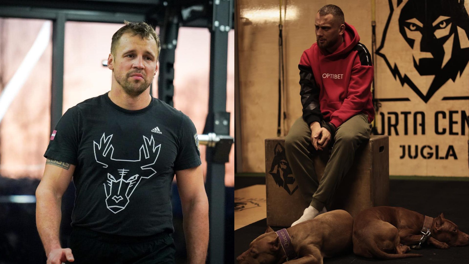 Briedis atkal izceļas un cenšas nopelnīt miljonu, Zutis izsaka savu ...